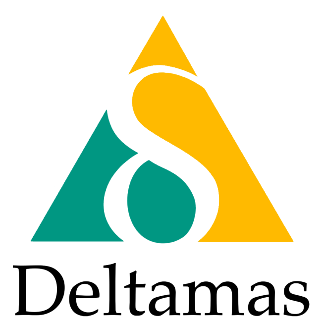 Company History - Kota Deltamas